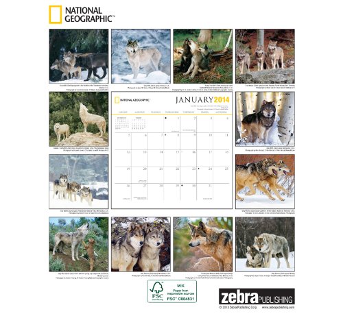 2014 National Geographic Wolves Deluxe Wall