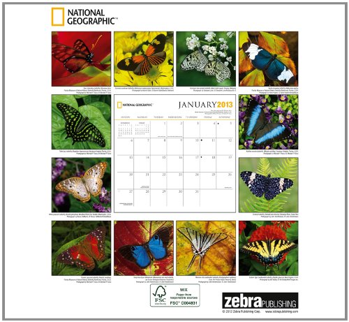National Geographic Butterflies 2013 Calendar