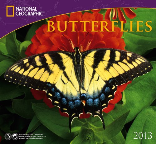 National Geographic Butterflies 2013 Calendar