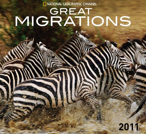 2011 Great Migrations - National Geographic Channel Calendar