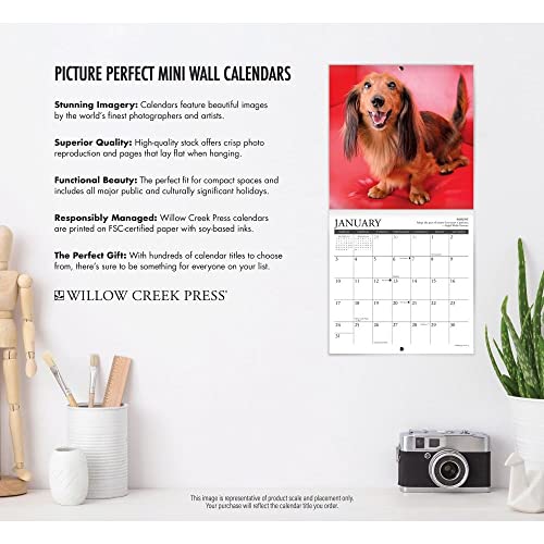 The Art of David Olenick 2021 Mini Wall Calendar