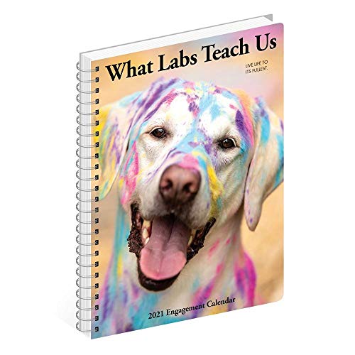 What Labs Teach Us 2021 Engagement Calendar (Dog Breed Calendar)