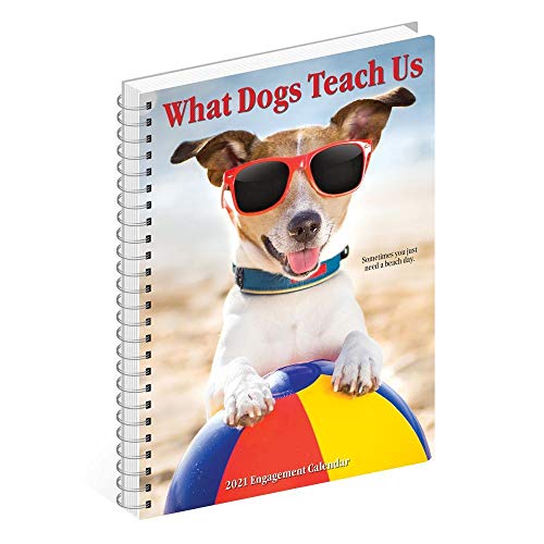 What Dogs Teach Us 2021 Engagement Calendar