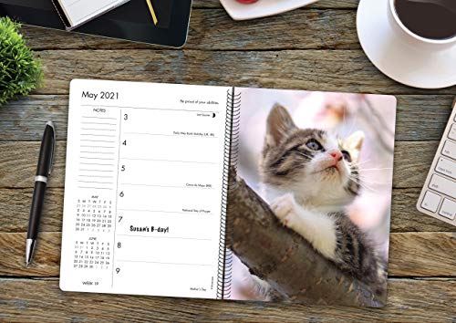 What Cats Teach Us 2021 Engagement Calendar