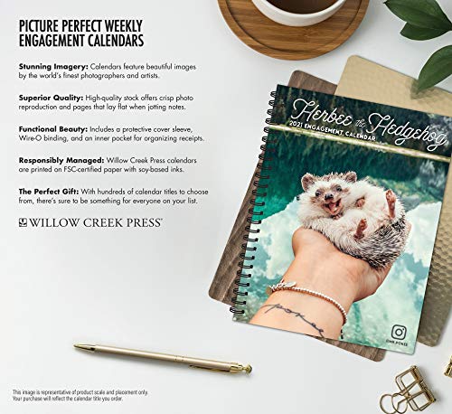 What Cats Teach Us 2021 Engagement Calendar