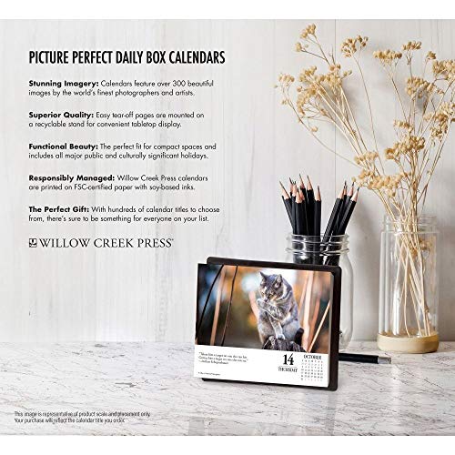 Zoo In A Box 2021 Box Calendar