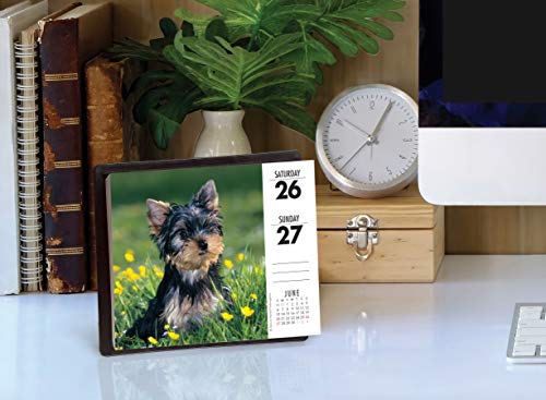 Just Yorkies 2021 Box Calendar (Dog Breed Calendar)