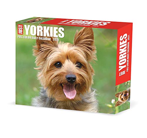 Just Yorkies 2021 Box Calendar (Dog Breed Calendar)