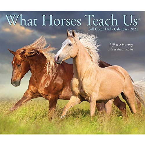 What Horses Teach Us 2021 Box Calendar