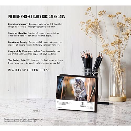What Dogs Teach Us 2021 Box Calendar