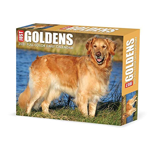 Just Goldens 2021 Box Calendar (Dog Breed Calendar)