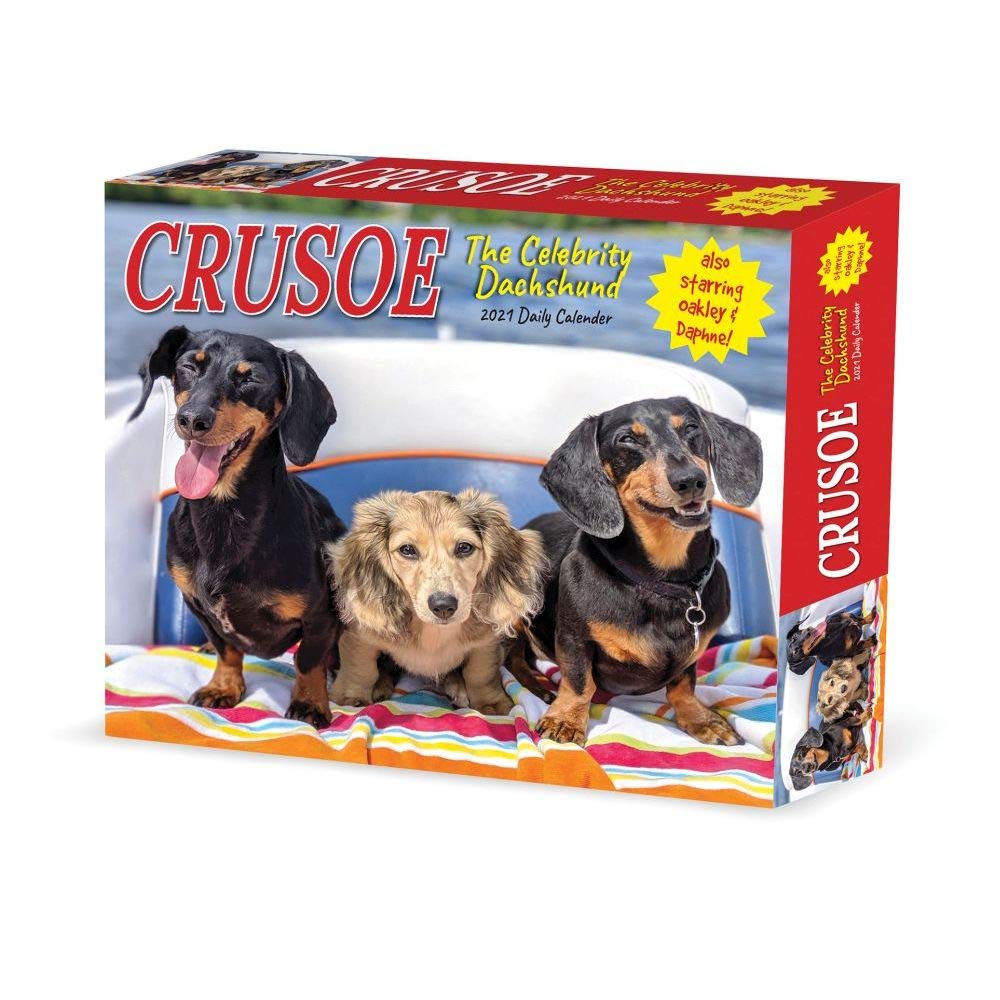 Crusoe the Celebrity Dachshund 2021 Box Calendar (Dog Breed Calendar)