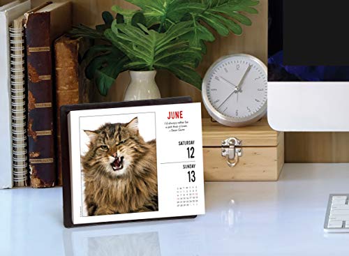 Bad Kitties 2021 Box Calendar