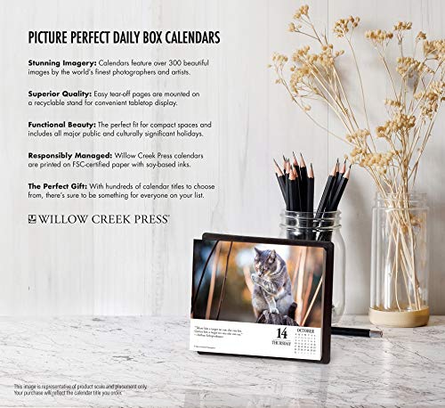 Bad Kitties 2021 Box Calendar