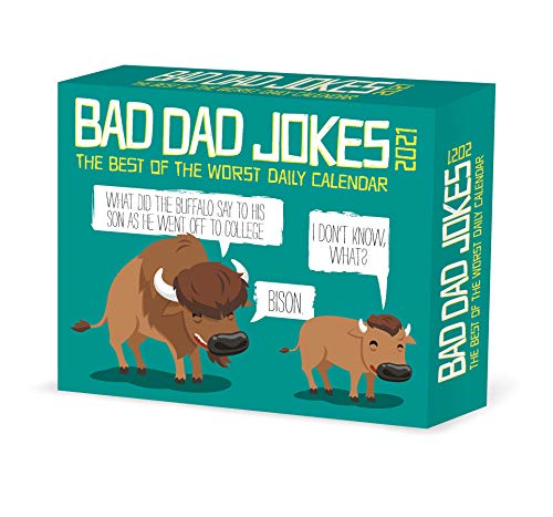 Bad Dad Jokes 2021 Box Calendar