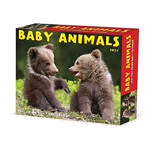 Baby Animals 2021 Box Calendar