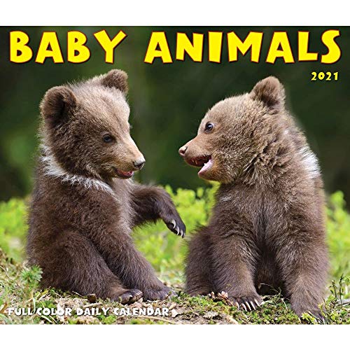Baby Animals 2021 Box Calendar