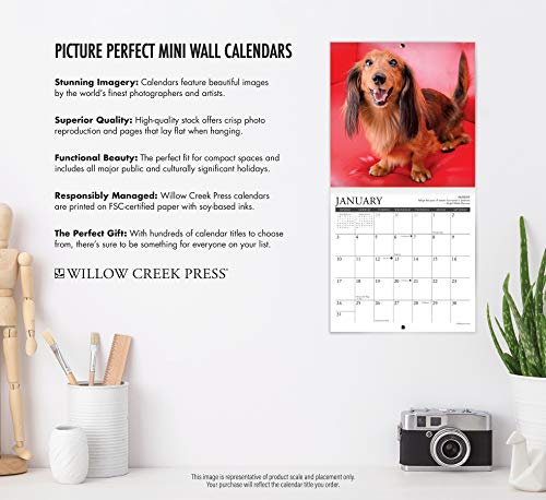 What Cats Teach Us 2021 Mini Wall Calendar