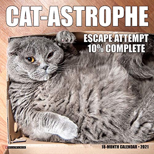 Cat-astrophe 2021 Mini Calendar