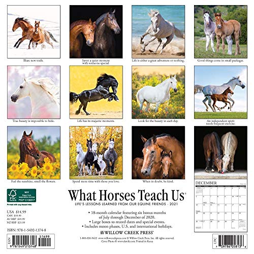 What Horses Teach Us 2021 Wall Calendar