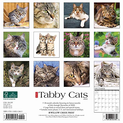 Just Tabby Cats 2021 Wall Calendar
