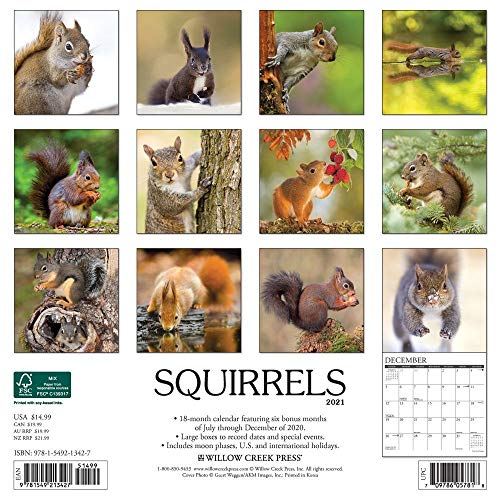 Squirrels 2021 Wall Calendar