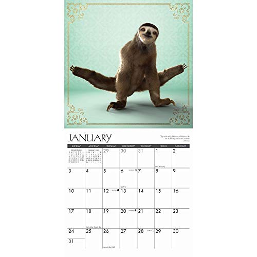 Sloth Yoga 2021 Wall Calendar
