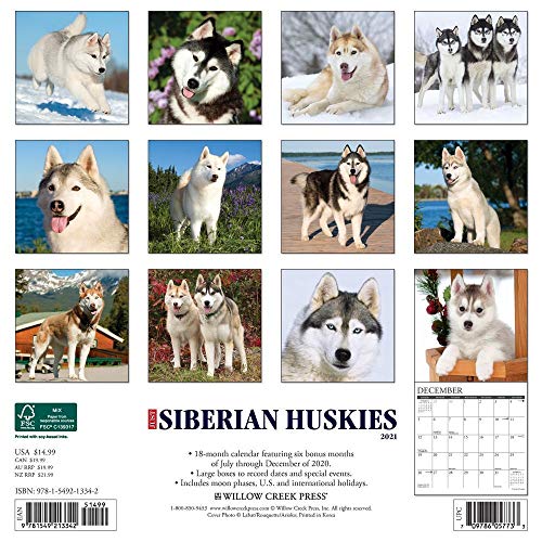 Just Siberian Huskies 2021 Wall Calendar (Dog Breed Calendar)
