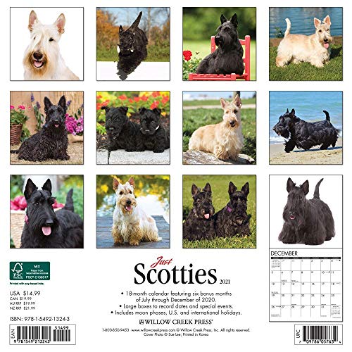 Just Scotties 2021 Wall Calendar (Dog Breed Calendar)