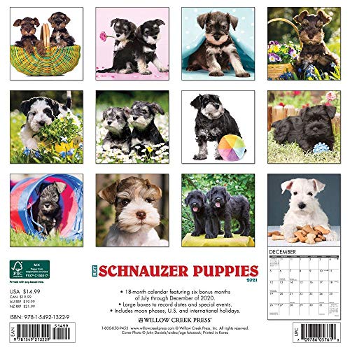 Just Schnauzer Puppies 2021 Wall Calendar (Dog Breed Calendar)