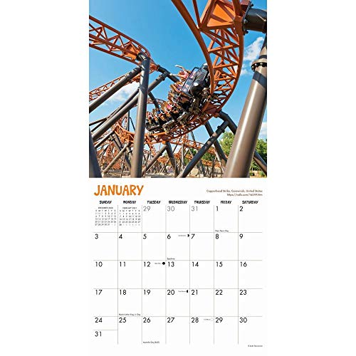 Roller Coasters 2021 Wall Calendar