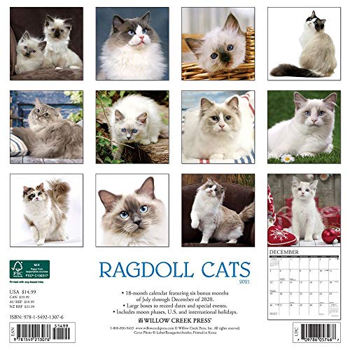 Ragdoll Cats 2021 Wall Calendar