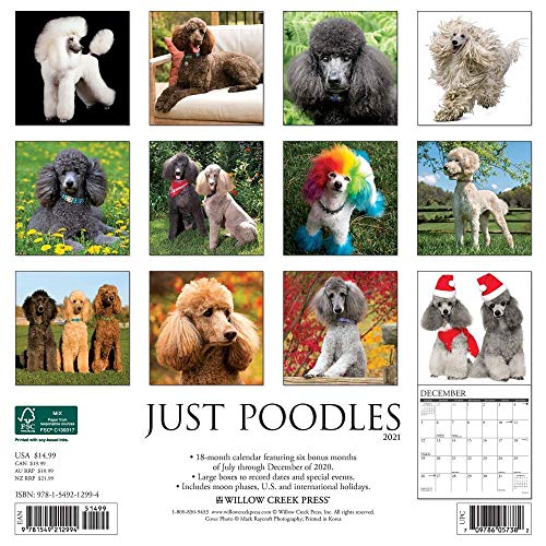 Just Poodles 2021 Wall Calendar (Dog Breed Calendar)