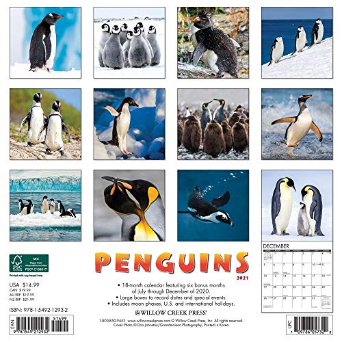 Penguins 2021 Wall Calendar
