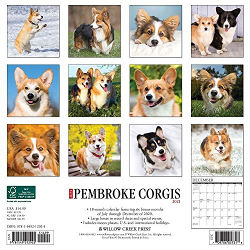 Just Pembroke Corgis 2021 Wall Calendar (Dog Breed Calendar)