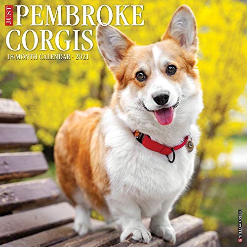 Just Pembroke Corgis 2021 Wall Calendar (Dog Breed Calendar)