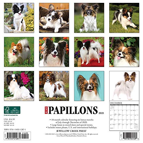 Just Papillons 2021 Wall Calendar (Dog Breed Calendar)