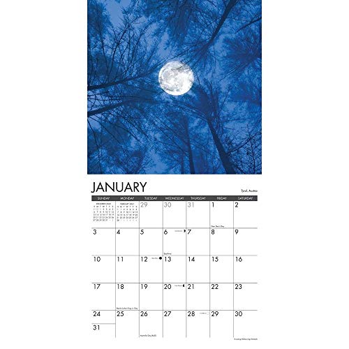 Moons 2021 Wall Calendar