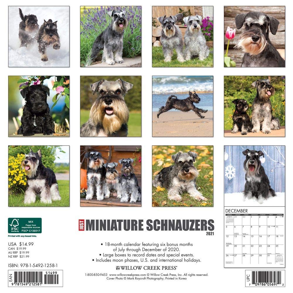 Just Miniature Schnauzers 2021 Wall Calendar (Dog Breed Calendar)