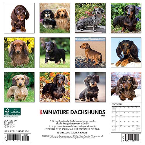 Just Mini Dachshunds 2021 Wall Calendar (Dog Breed Calendar)