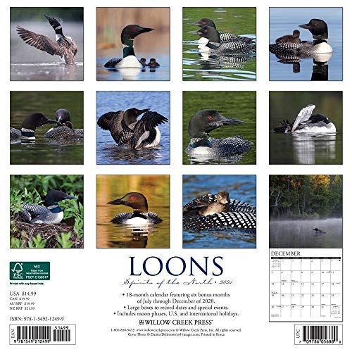 Loons 2021 Wall Calendar