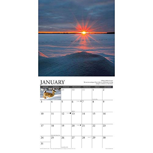 Life in the Northwoods 2021 Wall Calendar