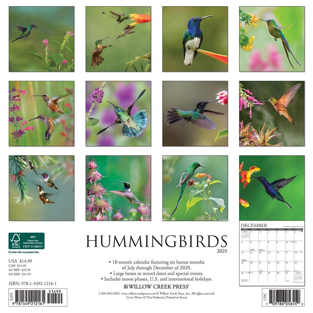 Hummingbirds 2021 Wall Calendar