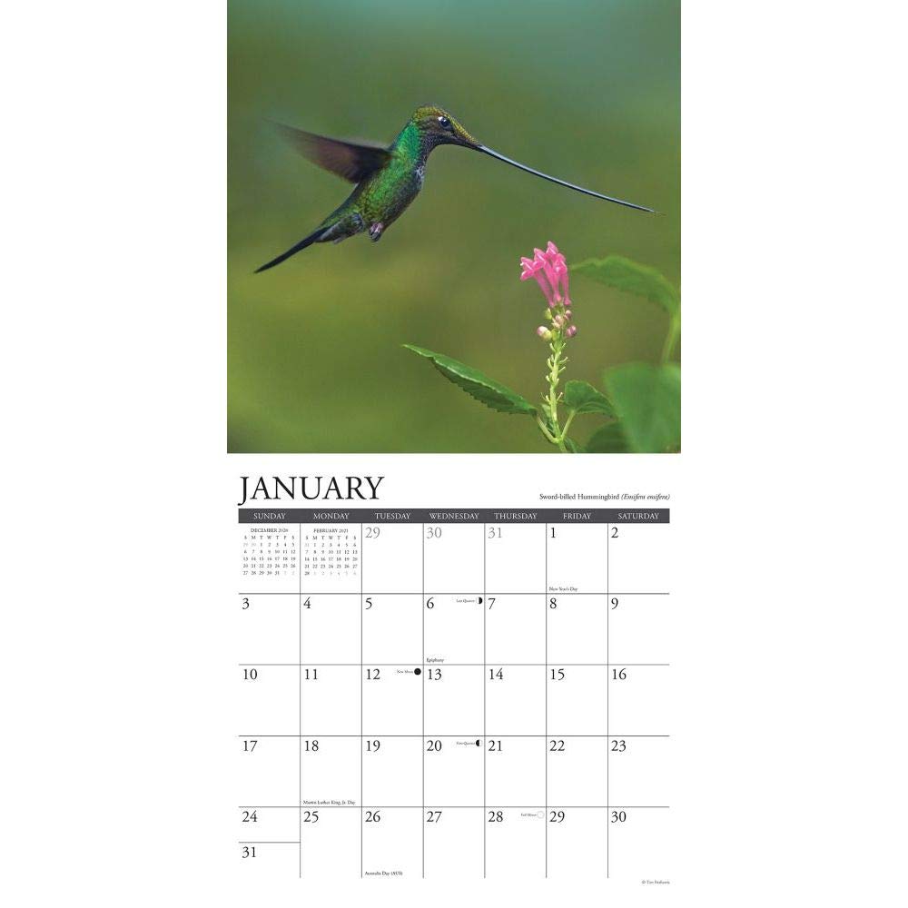 Hummingbirds 2021 Wall Calendar
