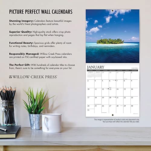 Horse: A Portrait 2021 Wall Calendar