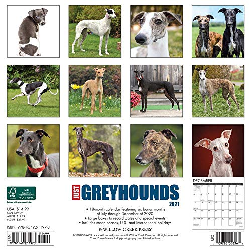 Just Greyhounds 2021 Wall Calendar (Dog Breed Calendar)