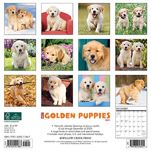Just Golden Puppies 2021 Wall Calendar (Dog Breed Calendar)