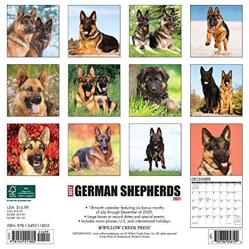 Just German Shepherds 2021 Wall Calendar (Dog Breed Calendar)