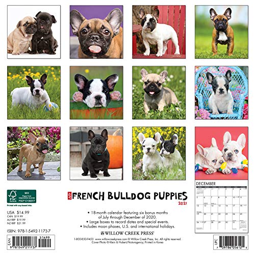 Just French Bulldog Puppies 2021 Wall Calendar (Dog Breed Calendar)