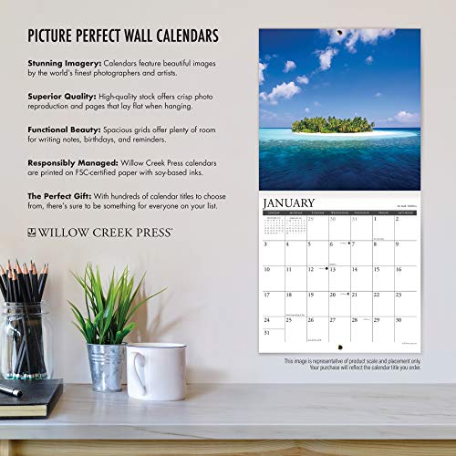 Just French Bulldog Puppies 2021 Wall Calendar (Dog Breed Calendar)